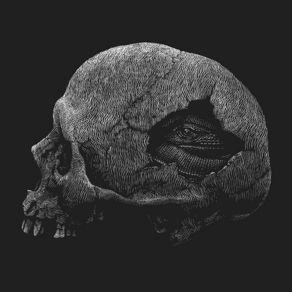 Screen print "Skull" scratchboard art by artist Phillip Janta - French ...