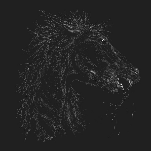 Screen print "Raven" scratchboard art by artist Phillip Janta - French ...